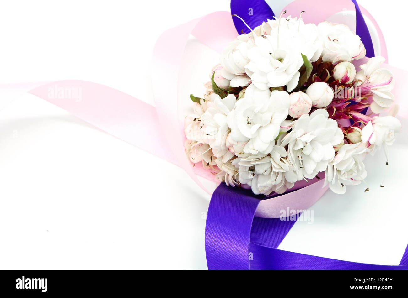 Glory Bower flower Stock Photo - Alamy