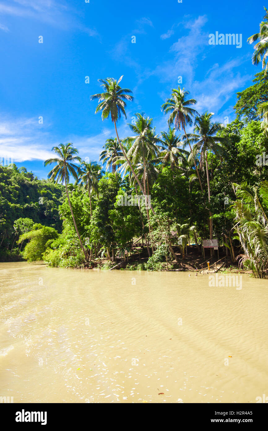 Tropical Loboc river, Bohol Island, Philippines Stock Photo - Alamy