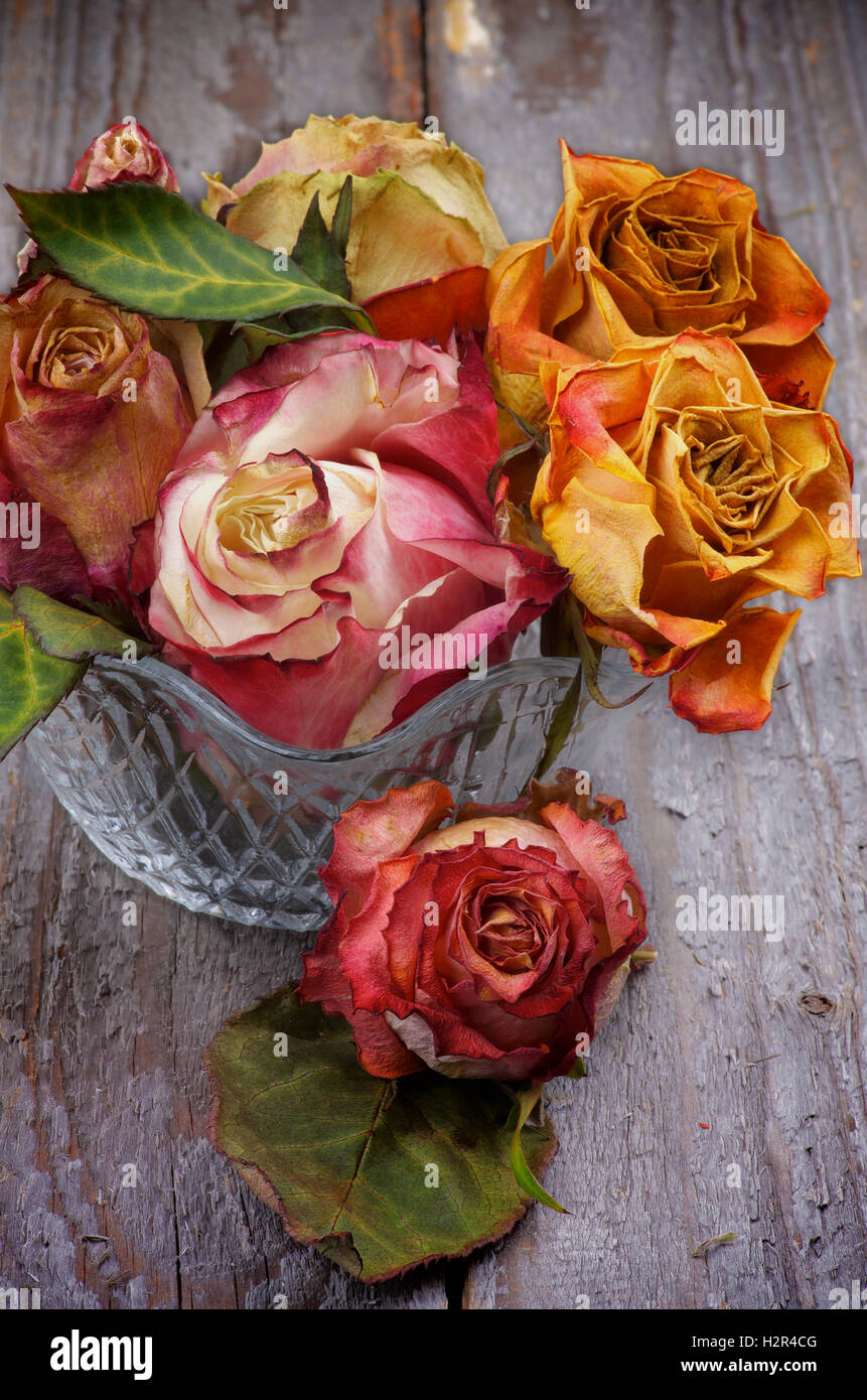 Bunch of Withered Roses Stock Photo - Alamy