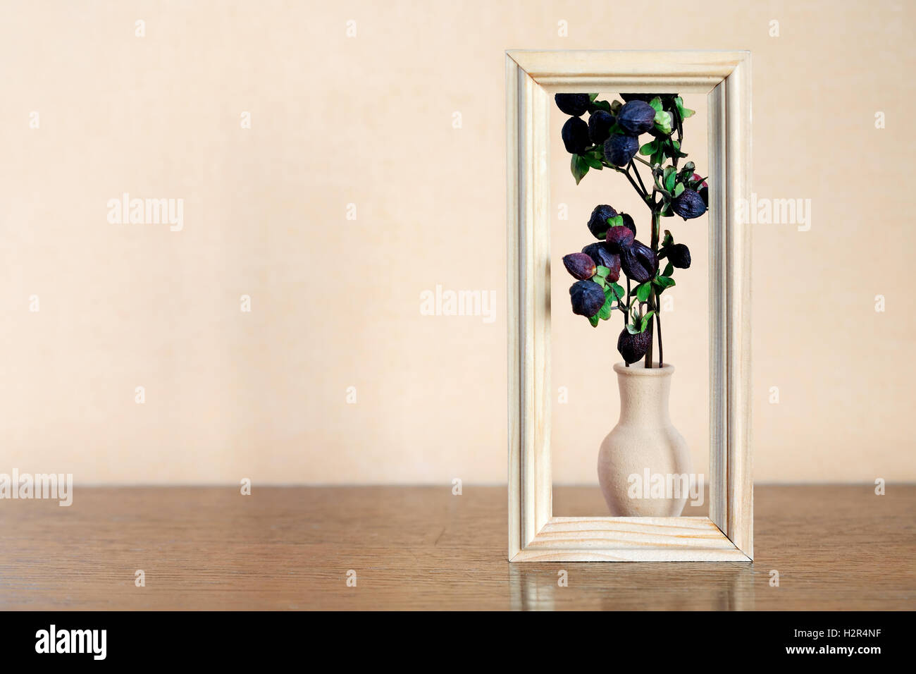 Flower In Frame Stock Photo - Alamy