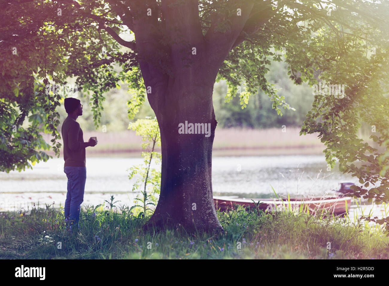 Man drinking coffee below tree at idyllic lakeside Stock Photo - Alamy