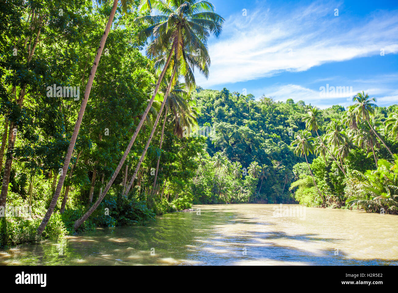 Tropical Loboc river, blue sky, Bohol Island, Philippines Stock Photo ...