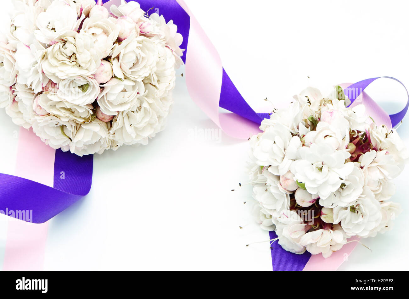 Glory Bower flower Stock Photo - Alamy