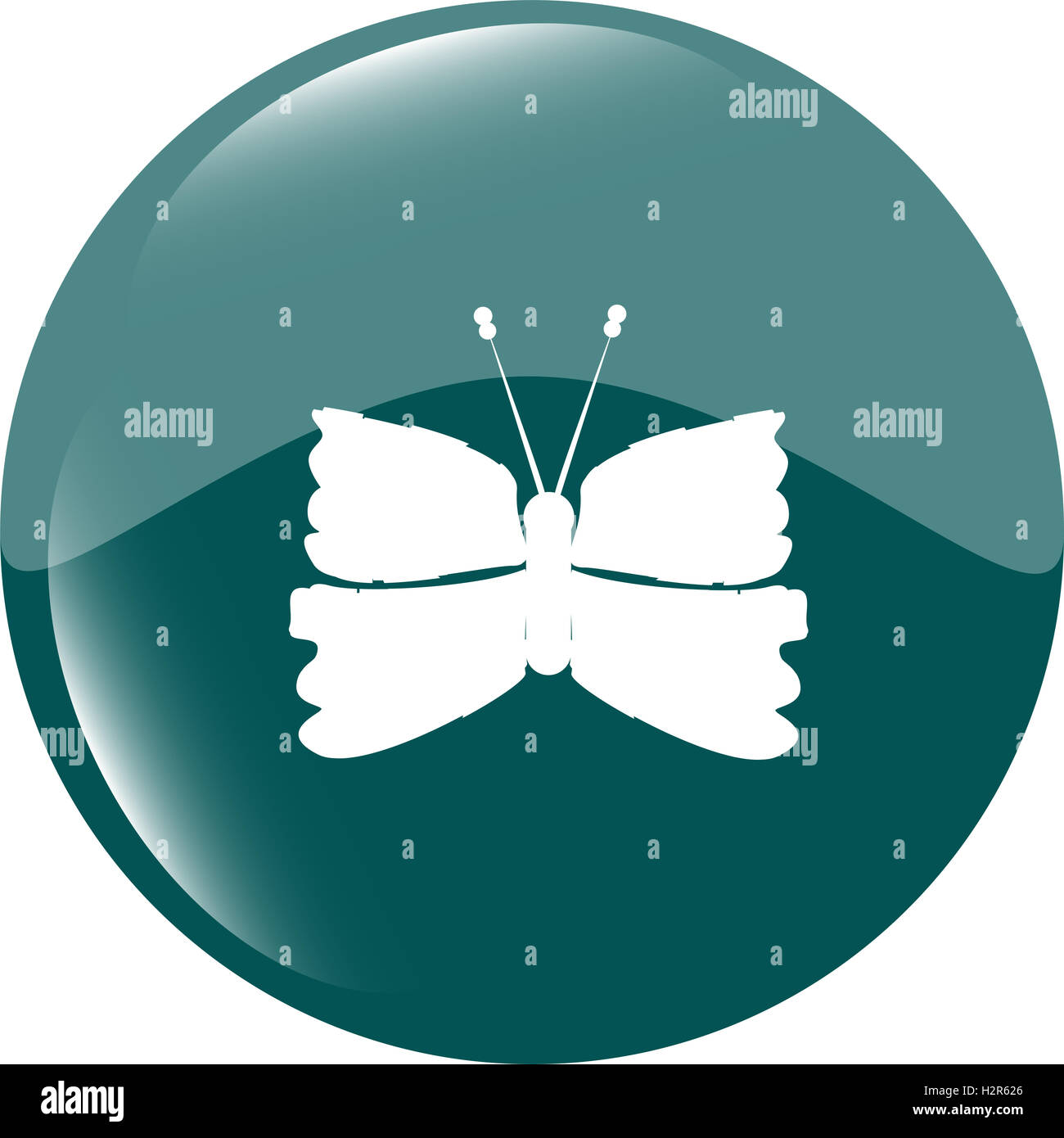 Butterfly Icon on Internet Button isolated on white Stock Photo - Alamy