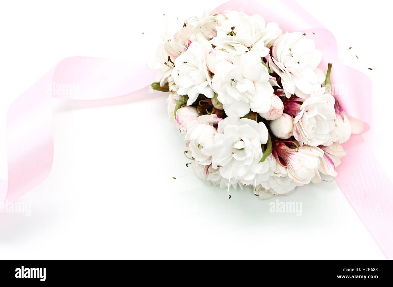 Glory Bower flower Stock Photo - Alamy