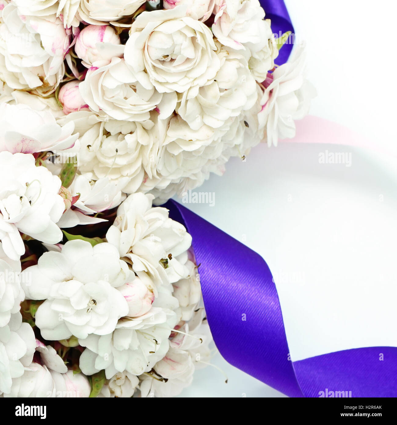 Glory Bower flower Stock Photo - Alamy