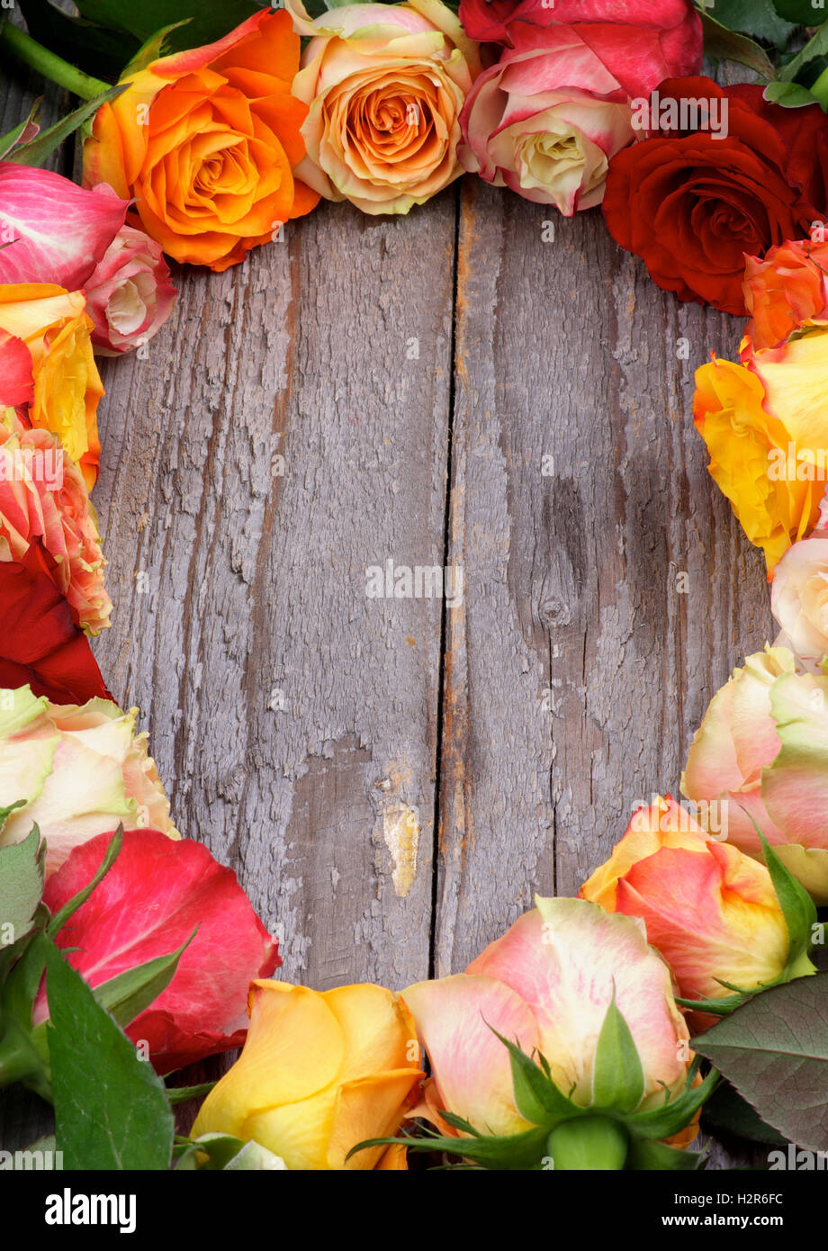 Frame of Roses Stock Photo - Alamy