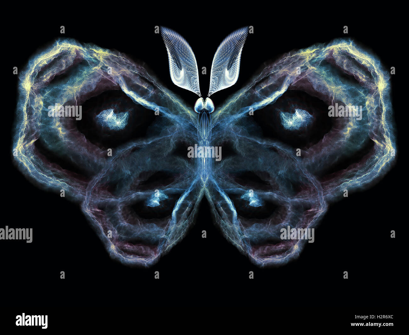 Cool butterfly hi-res stock photography and images - Alamy