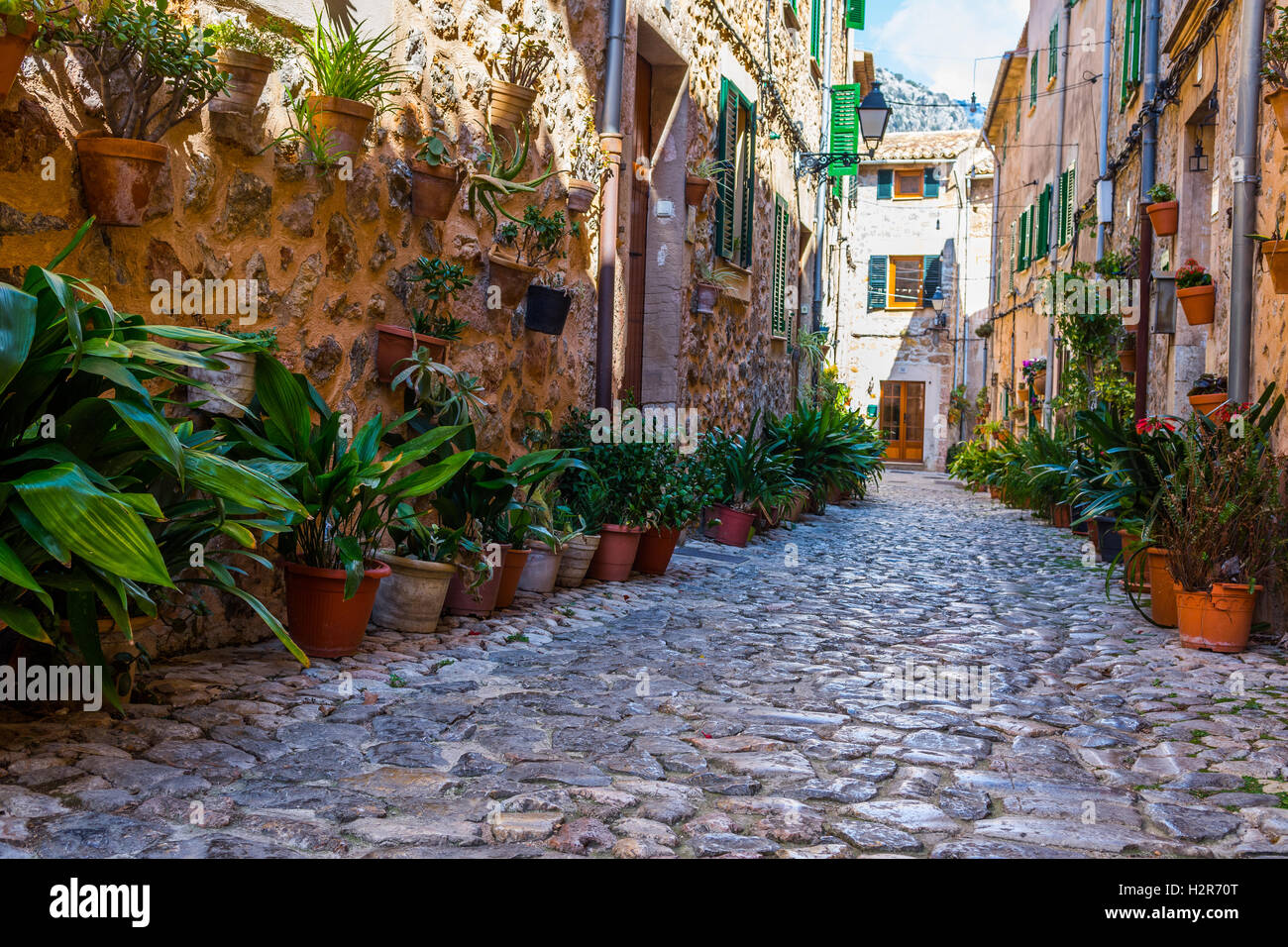Plant Street in Valldemossa, Majorca Stock Photo - Alamy