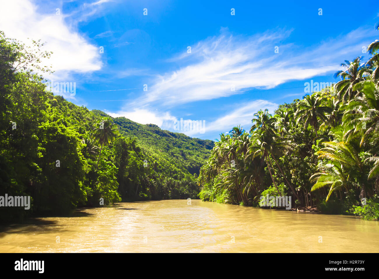 Tropical Loboc river at the island Bohol in Philippines Stock Photo - Alamy