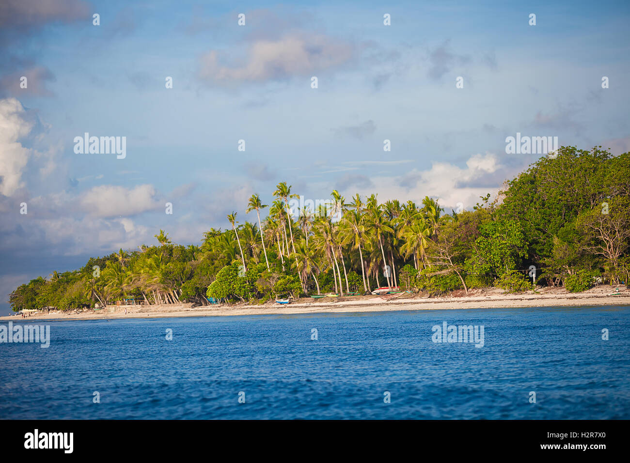 Landscape of tropical island beach with perfect blue sky in Bohol Stock ...