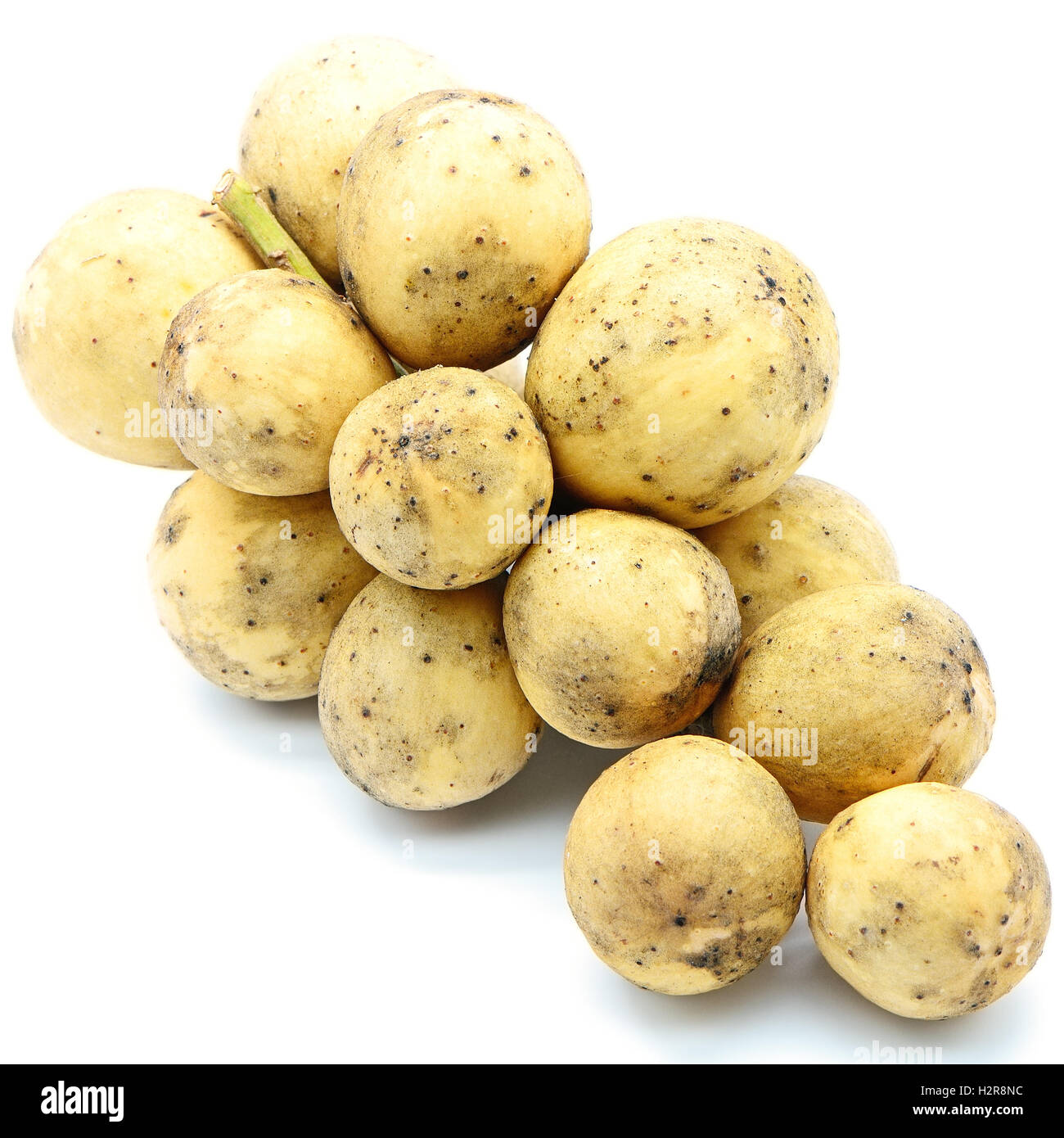 Longkong Cut Out Stock Images & Pictures - Alamy