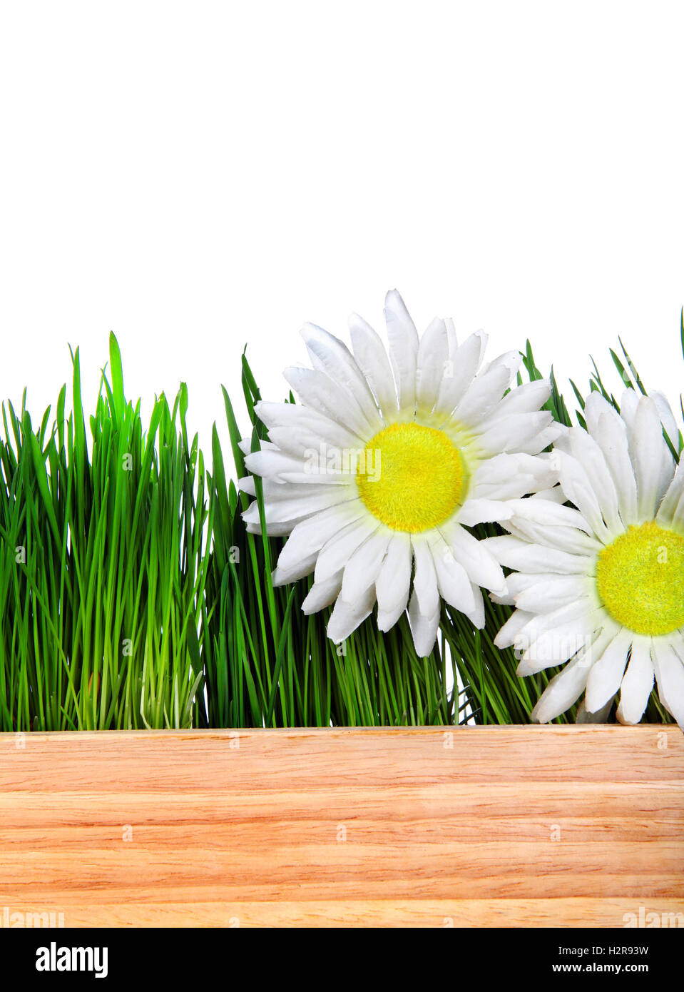 Flowers on the Grass Stock Photo - Alamy