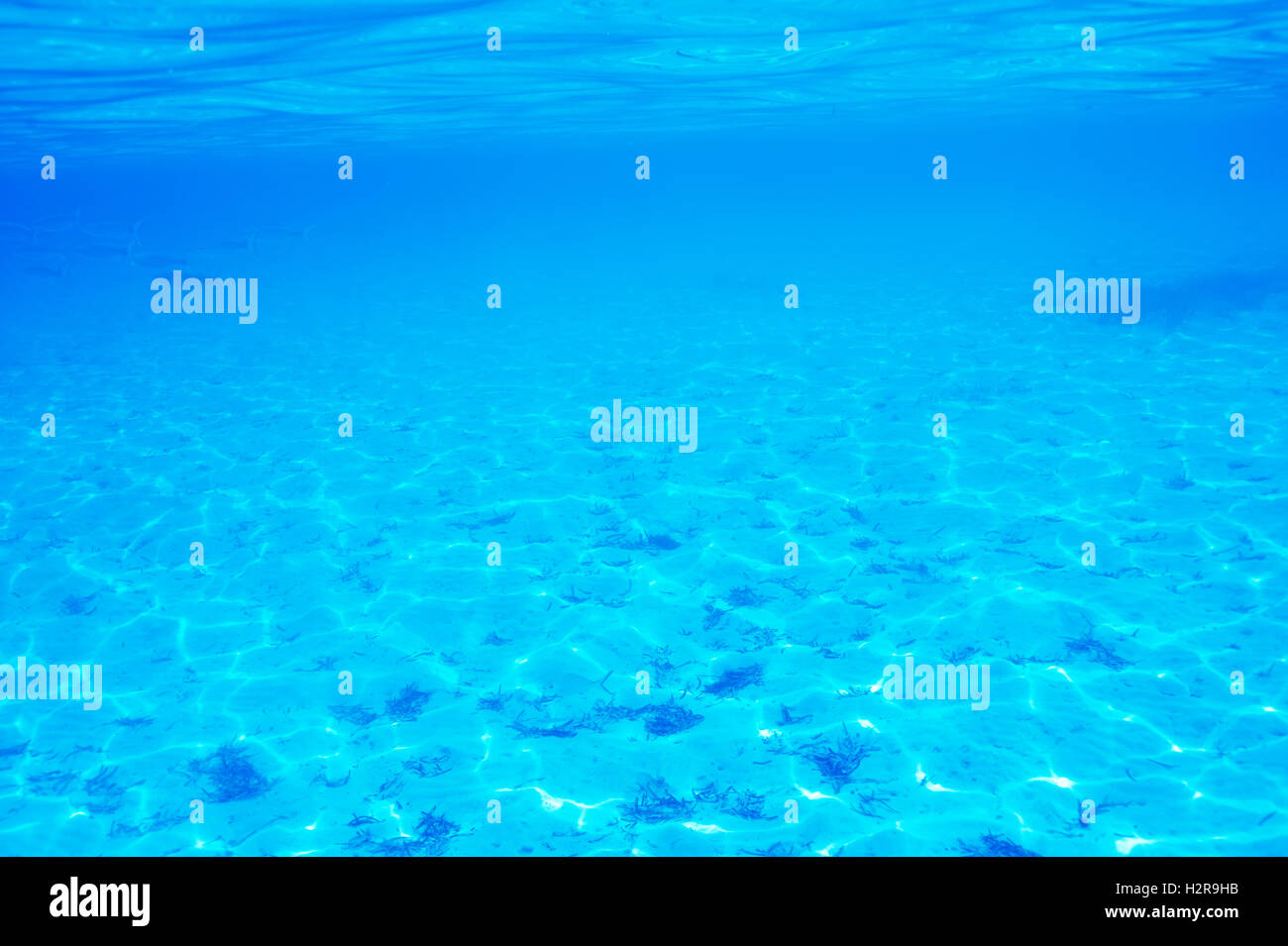 A white sand bottom in clear water Stock Photo - Alamy