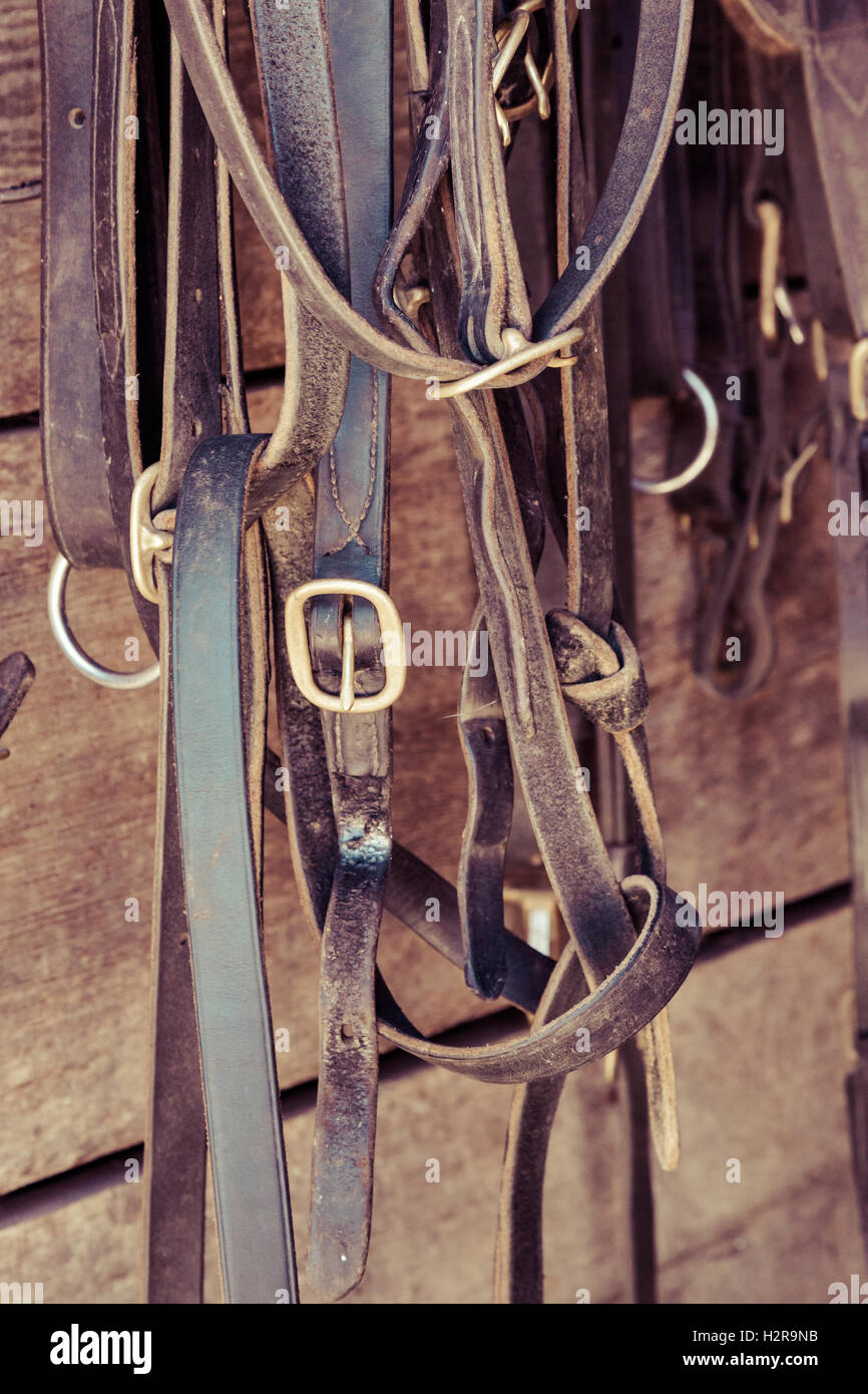 Riding items hi-res stock photography and images - Alamy