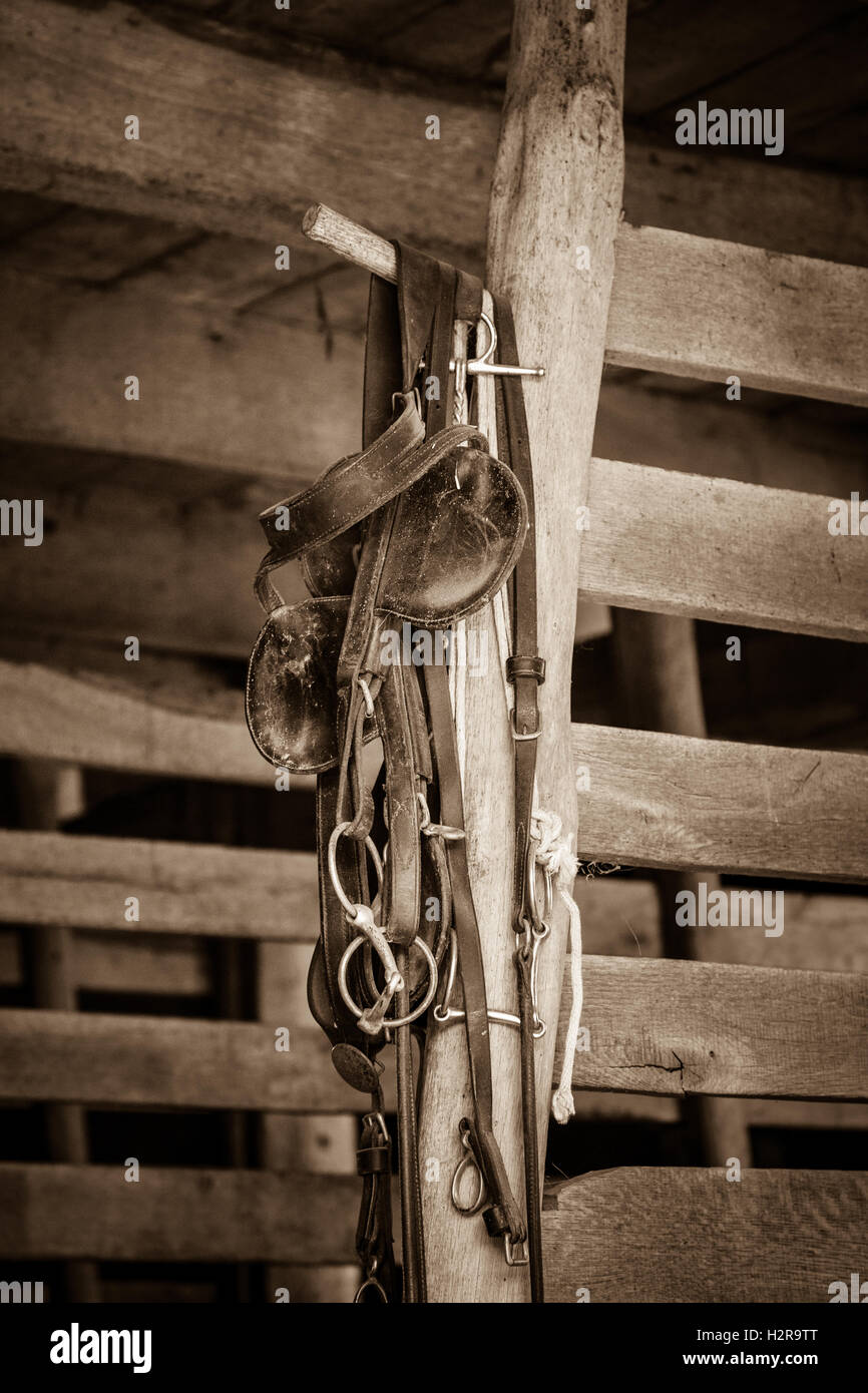 Tacking a horse hi-res stock photography and images - Alamy