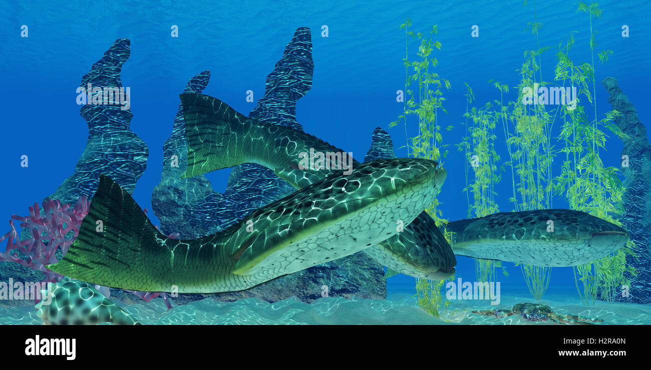 Devonian fish hi-res stock photography and images - Alamy