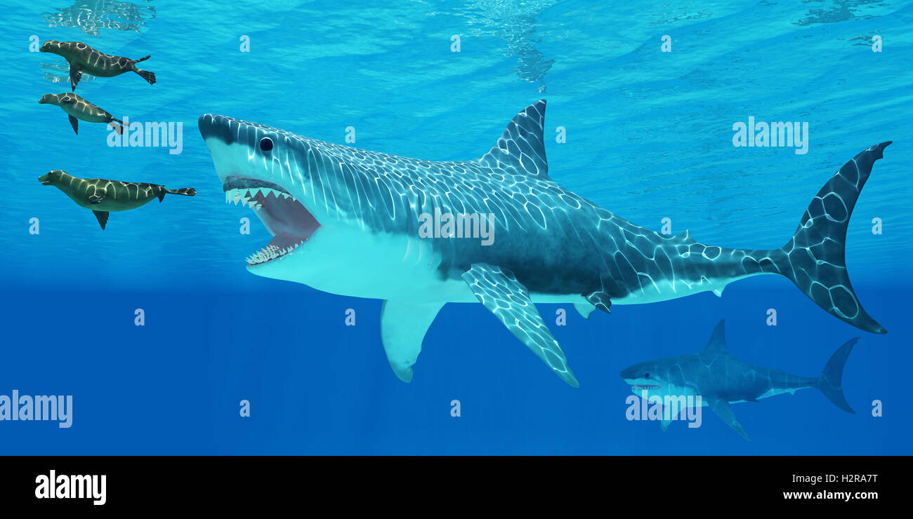 Megalodon hi-res stock photography and images - Alamy