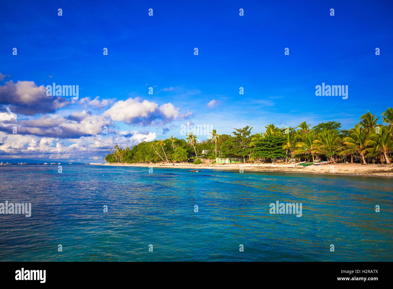 Landscape of tropical island beach with perfect blue sky in Bohol Stock ...
