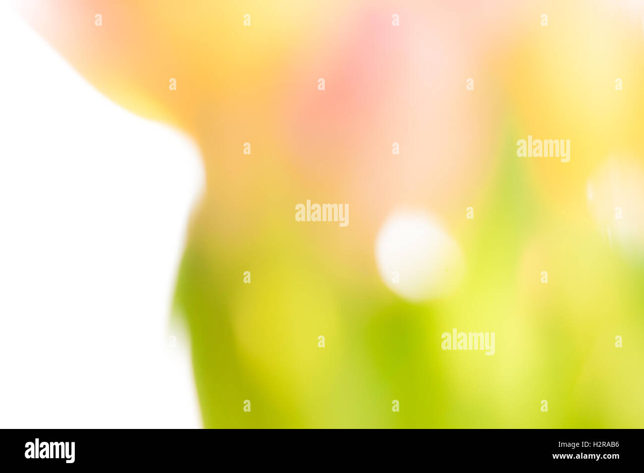 yellow, green and pink colors Stock Photo - Alamy