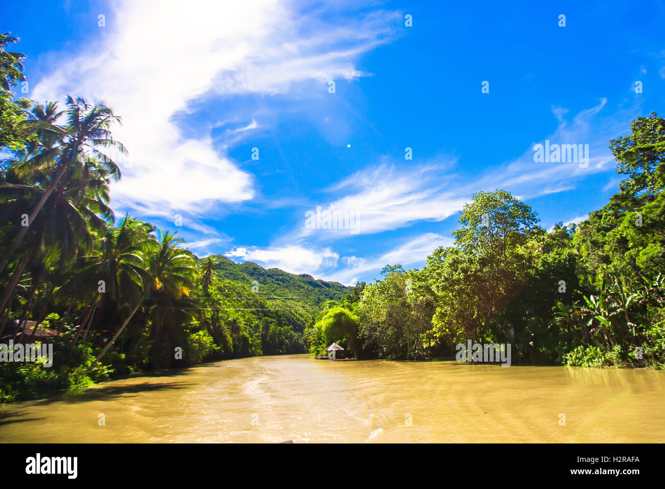 Tropical Loboc river, blue sky, Bohol Island, Philippines Stock Photo ...