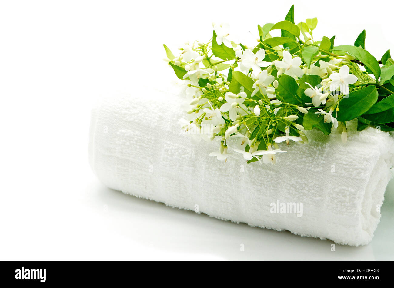 Wild Water Plum Stock Photo - Alamy