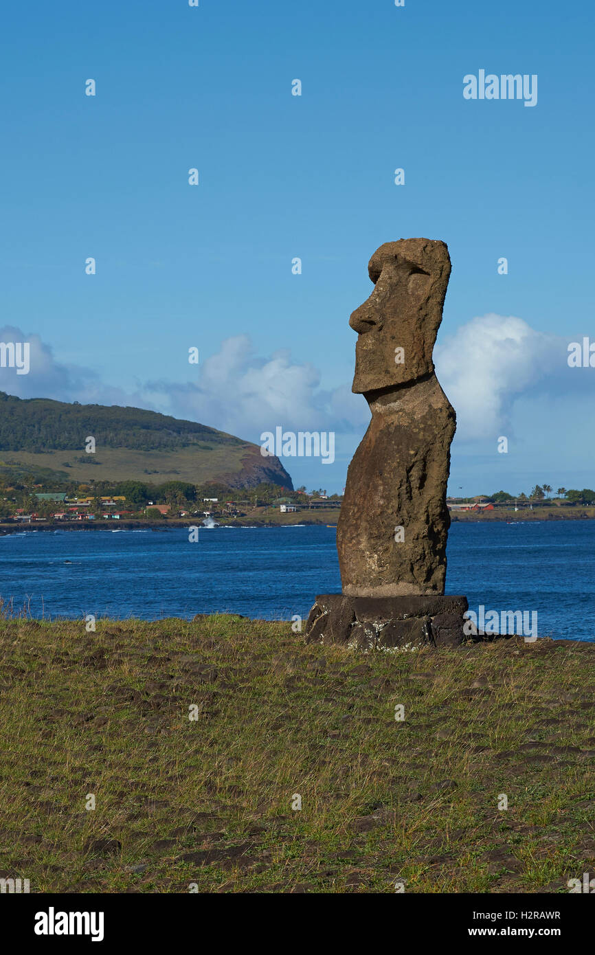 Ancient Moai statues on the coast of Rapa Nui Stock Photo - Alamy