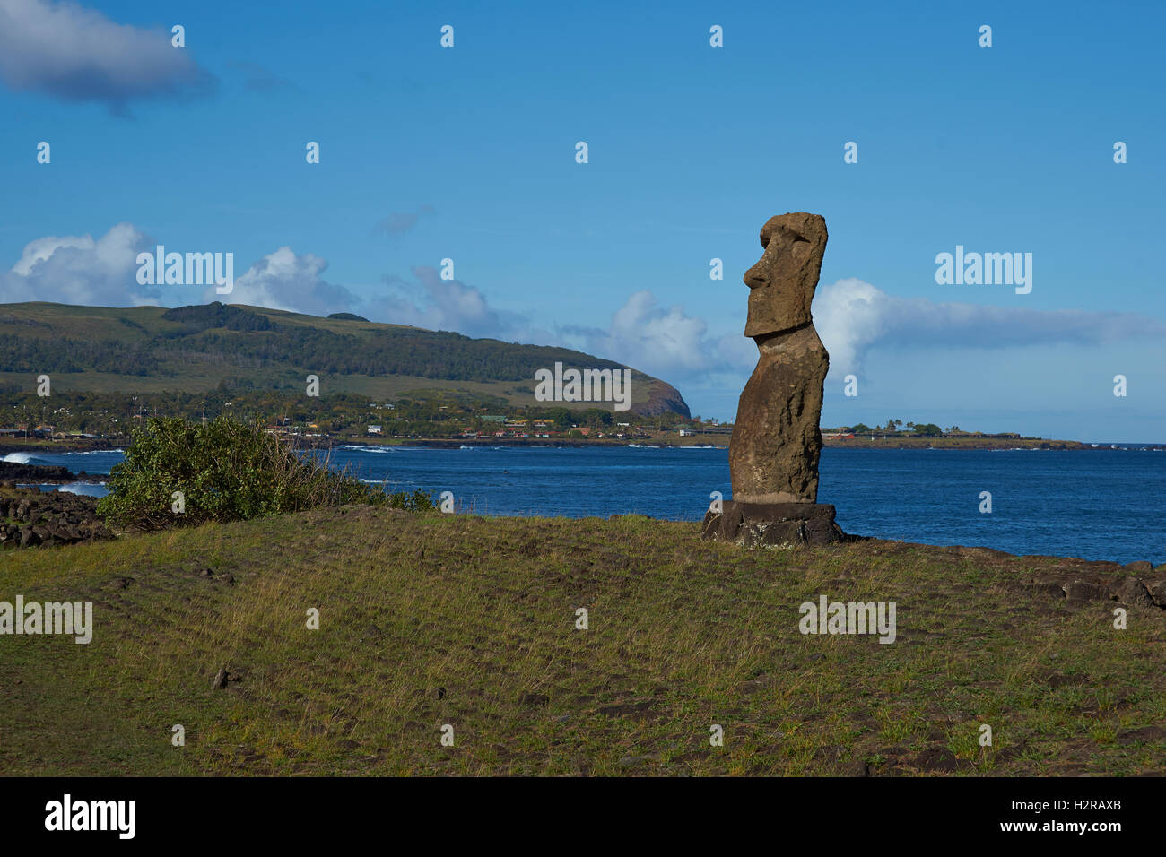 Ancient Moai statues on the coast of Rapa Nui Stock Photo - Alamy