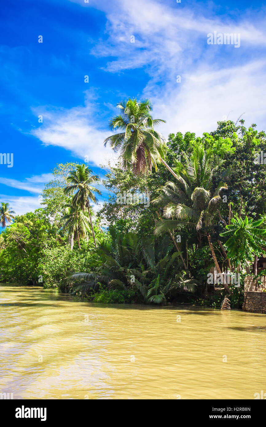 Loboc river and jungle at the island Bohol in Philippines Stock Photo ...