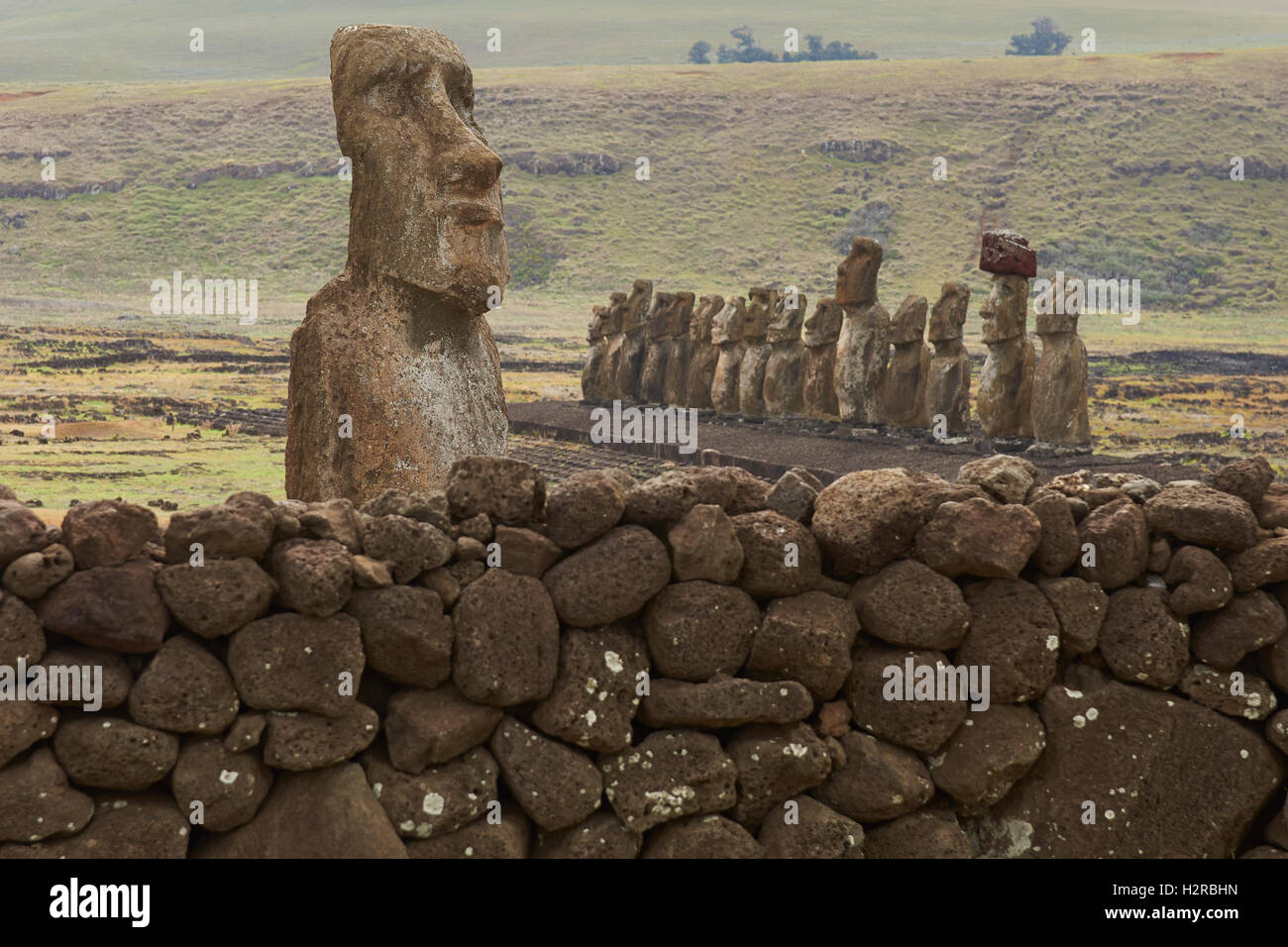 Ancient Moai statues on the coast of Rapa Nui (Easter Island Stock ...