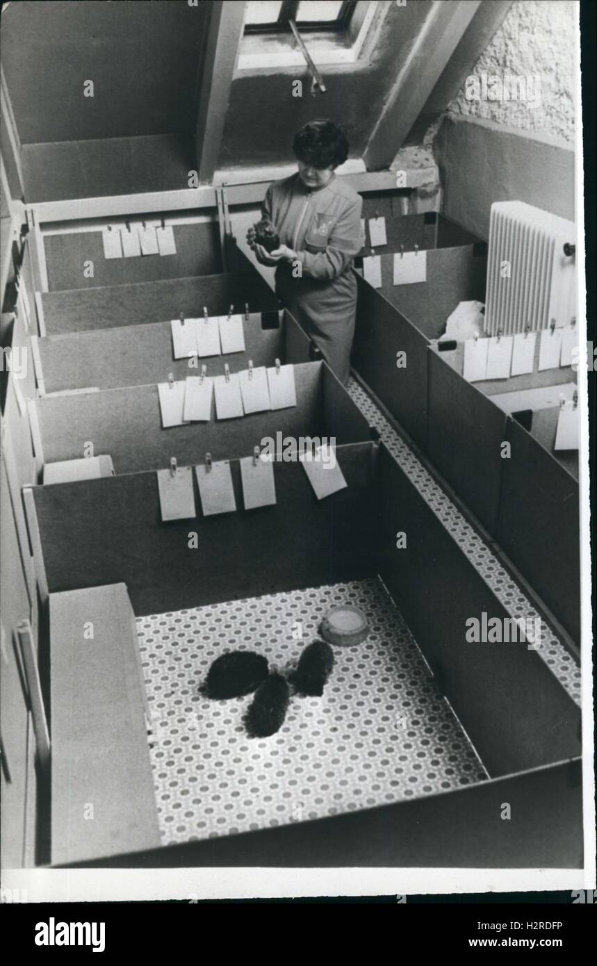 Historical lab rat hi-res stock photography and images - Alamy