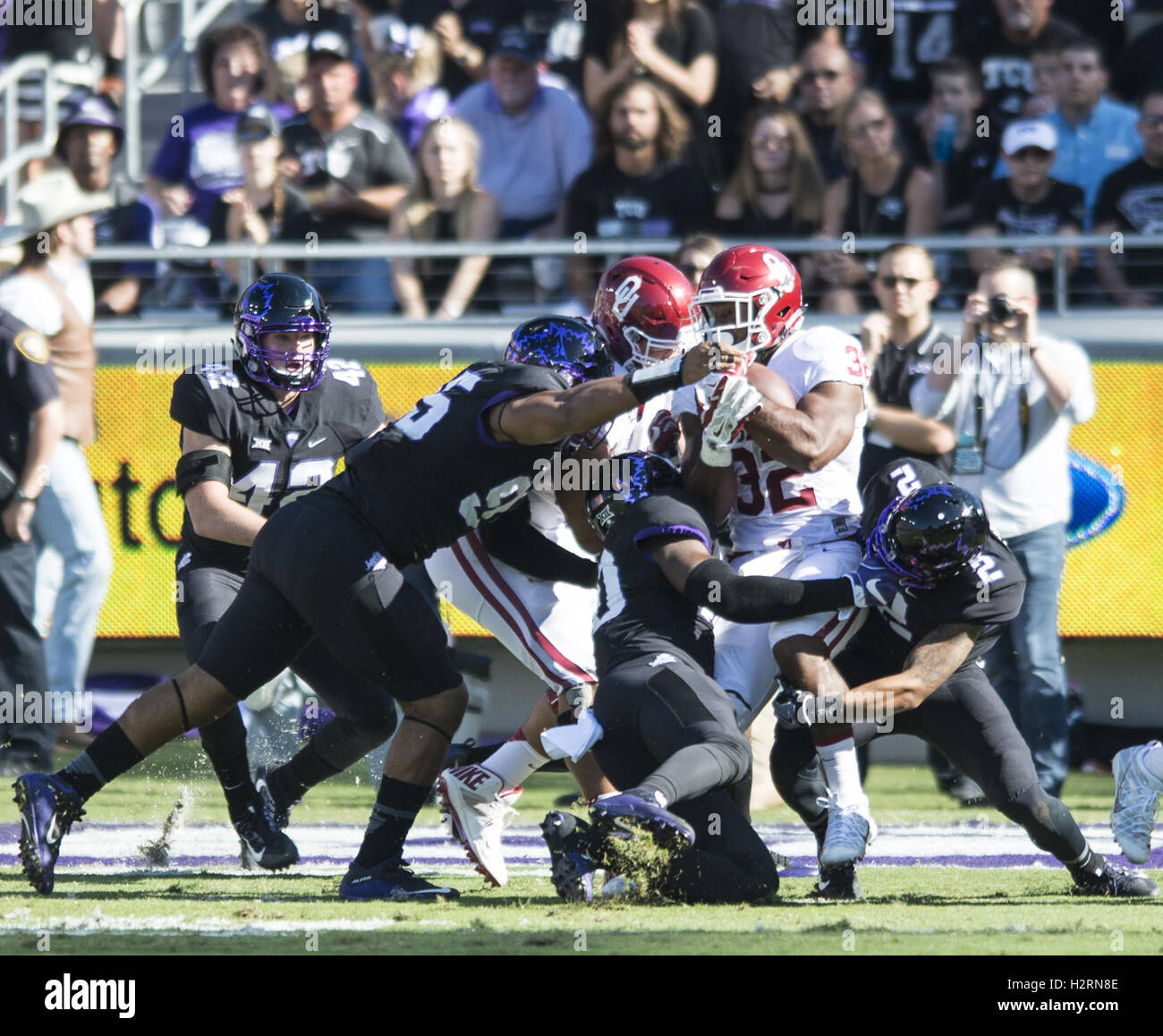 Perine hi-res stock photography and images - Alamy