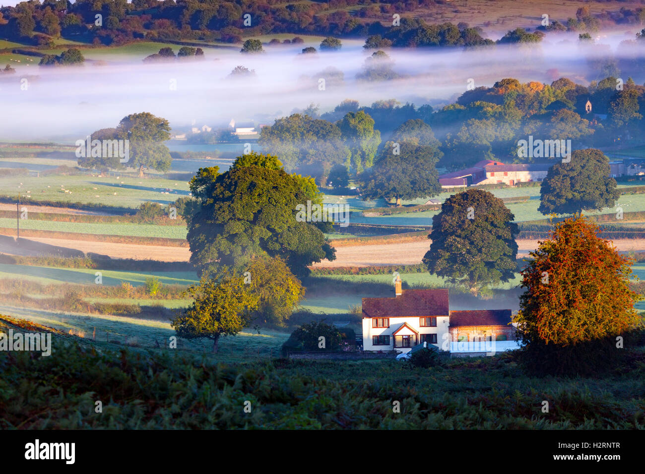 Rhes y cae hi-res stock photography and images - Alamy