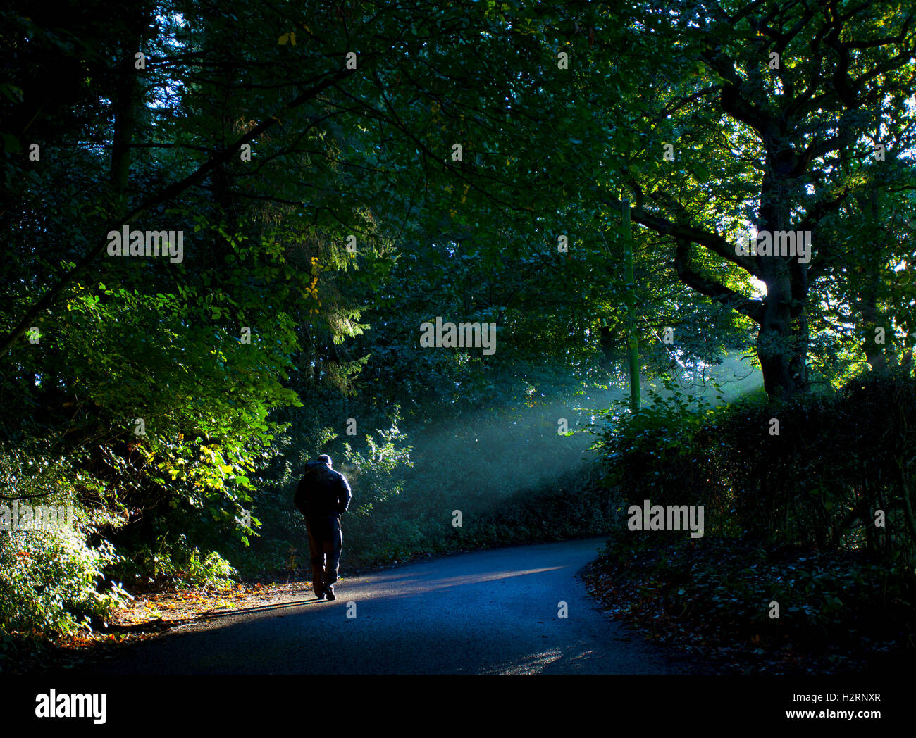 A walker wraps up and braves the cold during a early morning walk in ...