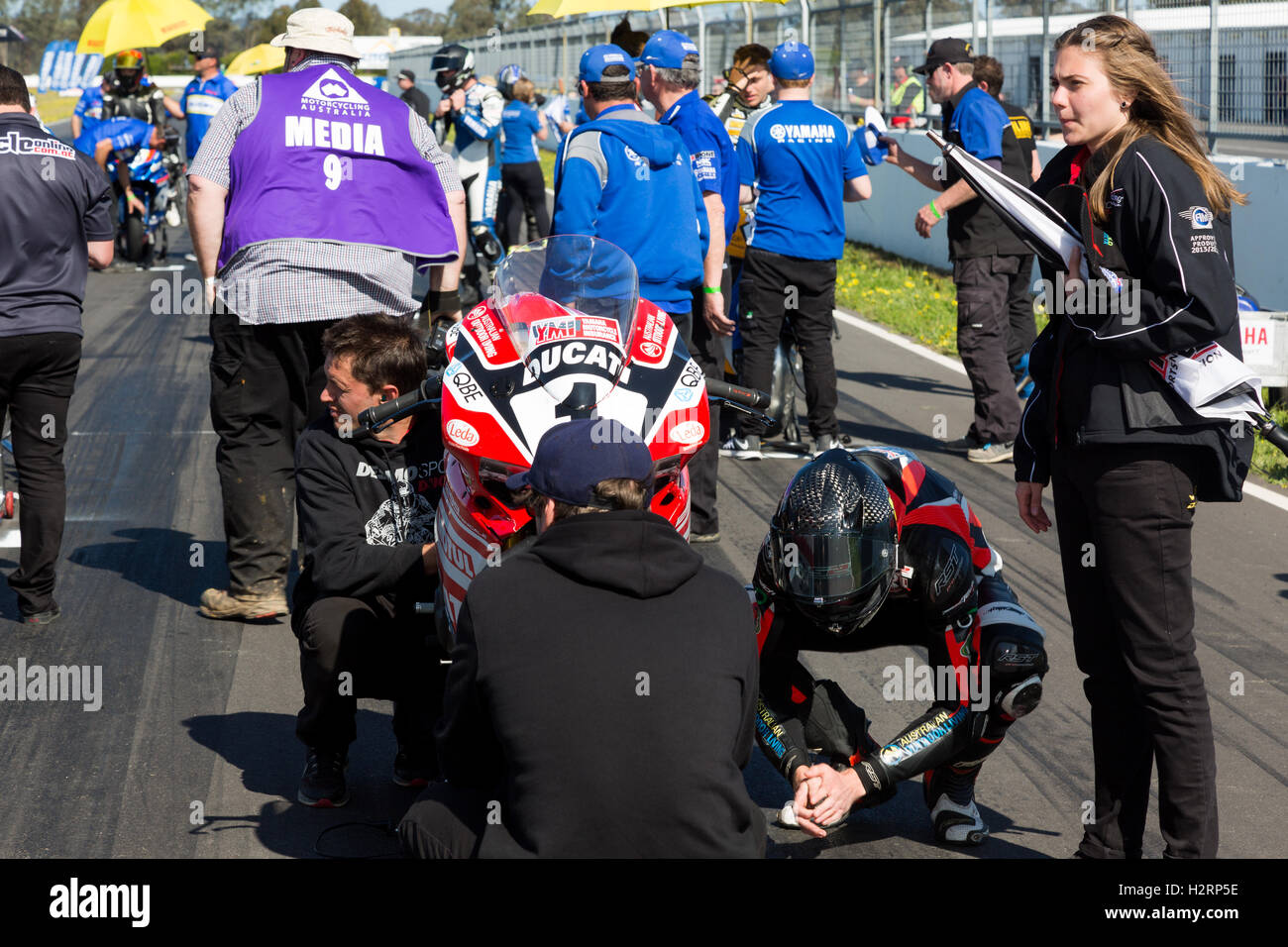 Melbourne, Australia. 2nd Oct, 2016. YMI Superbike grid, Race 2 at the ...