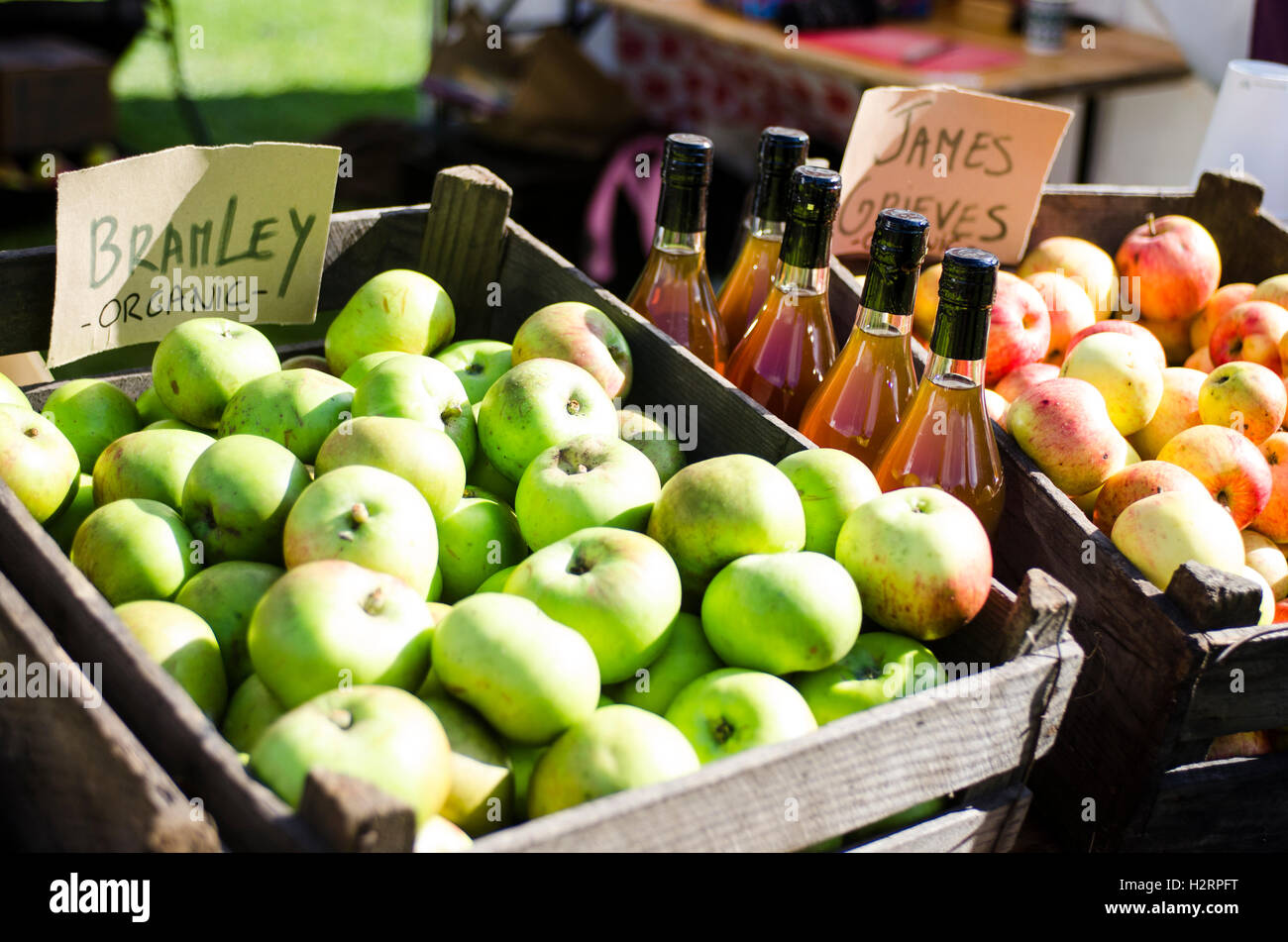 Brighton, East Sussex, 2nd October 2016. Brighton’s annual Apple Day ...