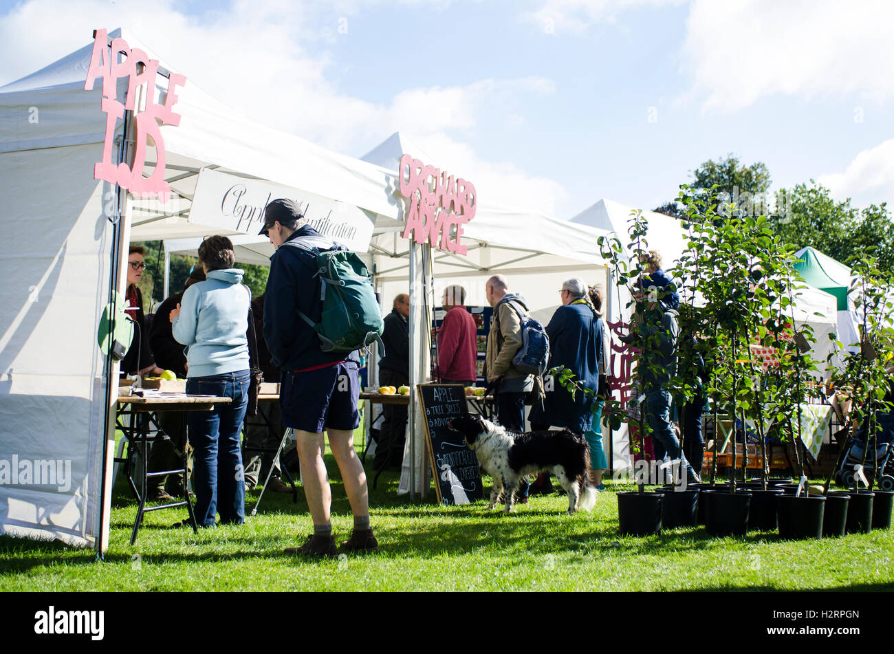 Brighton, East Sussex, 2nd October 2016. Brighton’s annual Apple Day ...