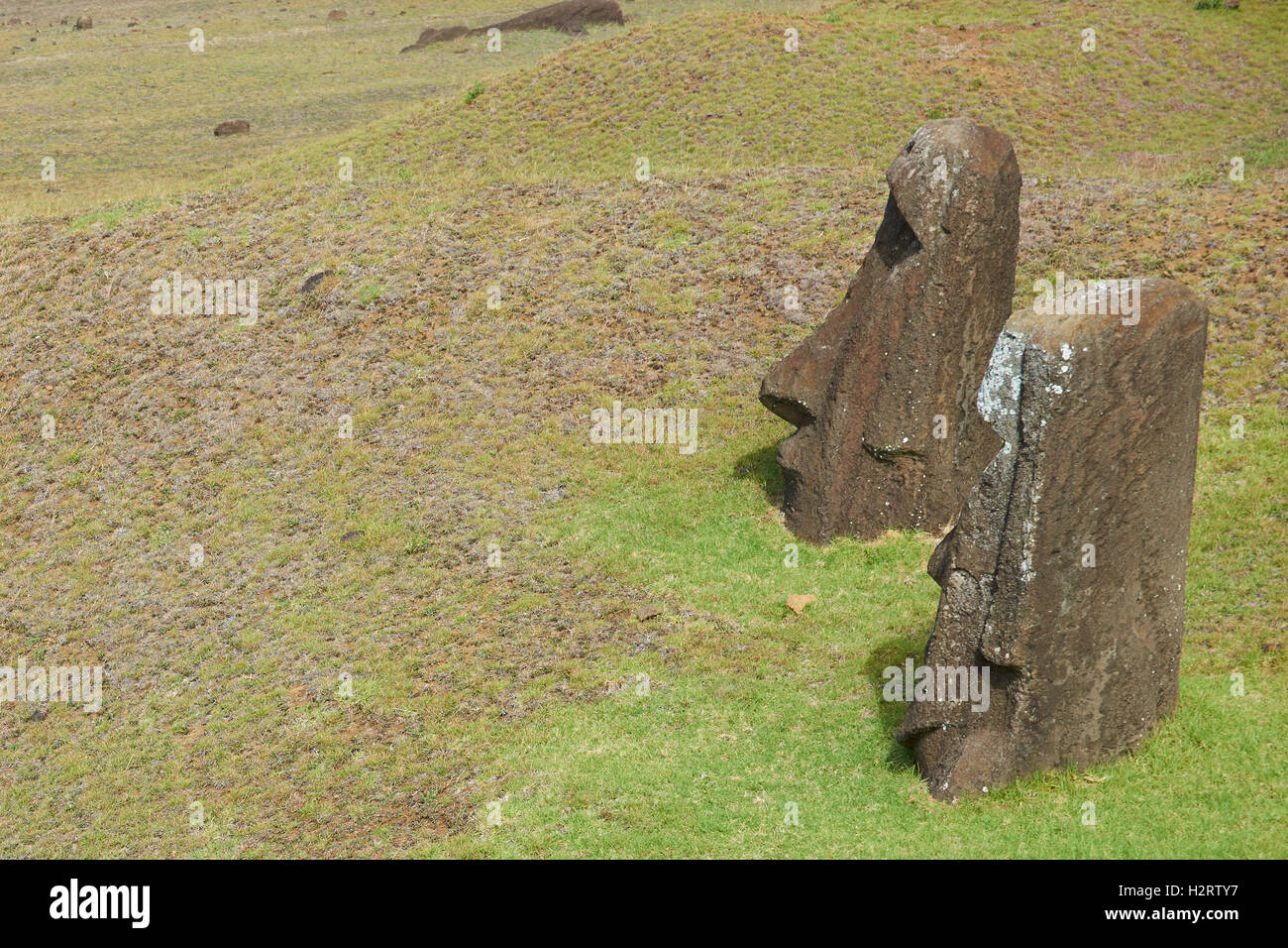 Moai statues of Rapa Nui (Easter Island Stock Photo - Alamy