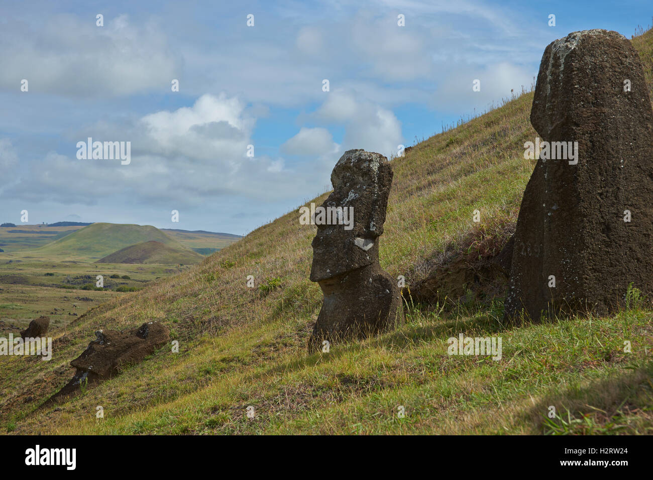 Moai statues of Rapa Nui (Easter Island Stock Photo - Alamy