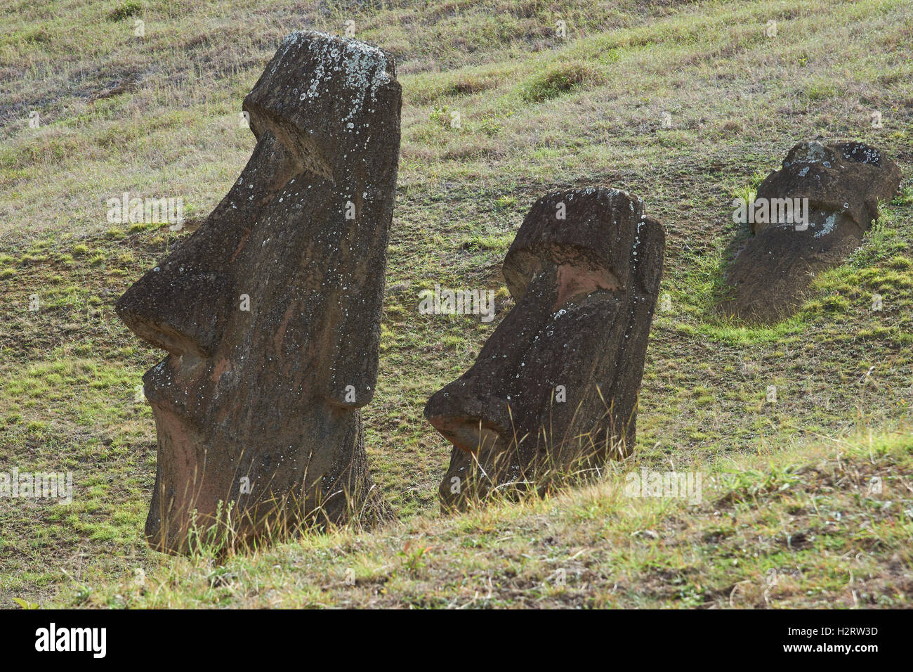 Moai statues of Rapa Nui (Easter Island Stock Photo - Alamy