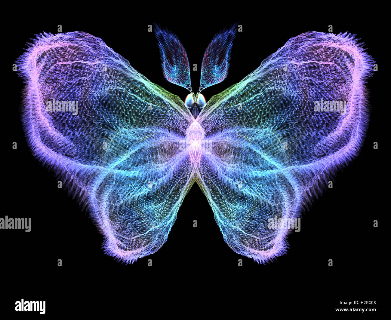 Butterfly elements hi-res stock photography and images - Alamy