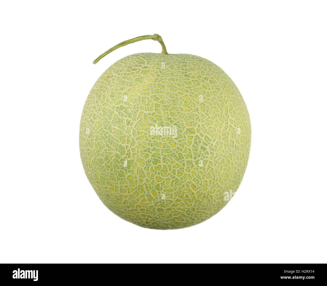 Green muskmelon with stem isolated on white background, close up Stock ...