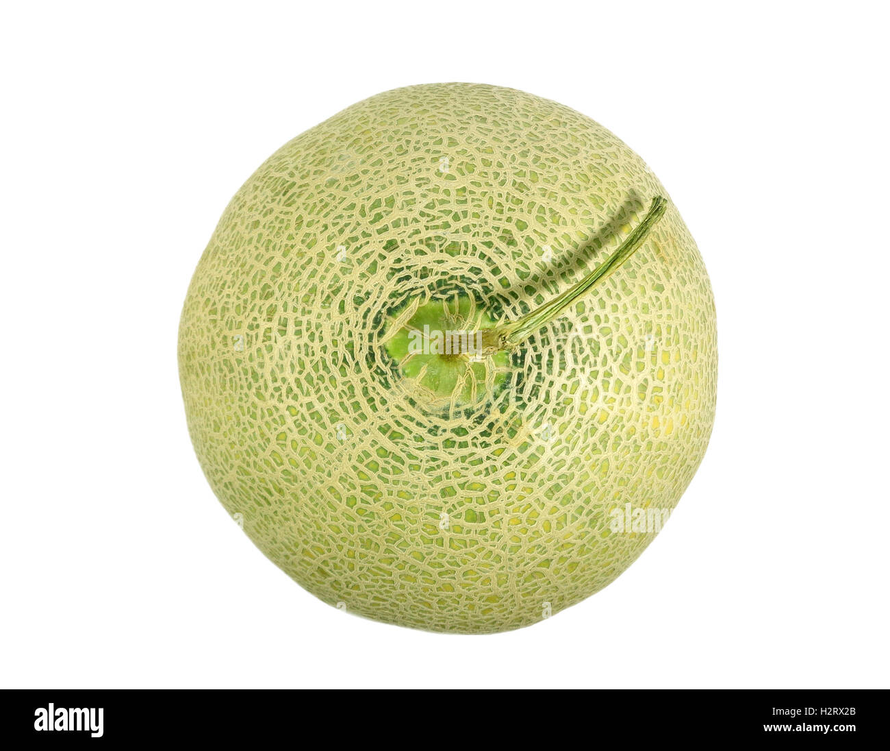 Whole green muskmelon with stem isolated on white background, close-up ...