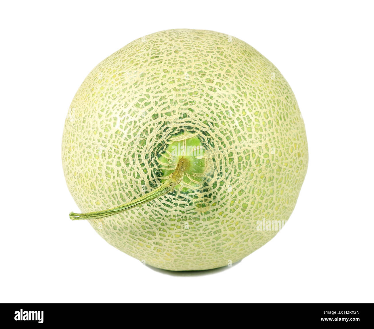 Close-up of whole green muskmelon with stem isolated on white ...