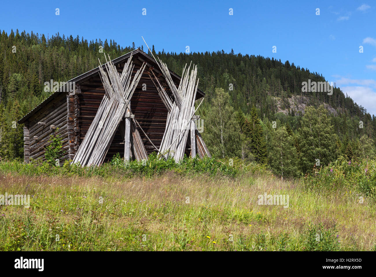 Wooden barn, timber building this side a hill, hay drying rack. Rural ...