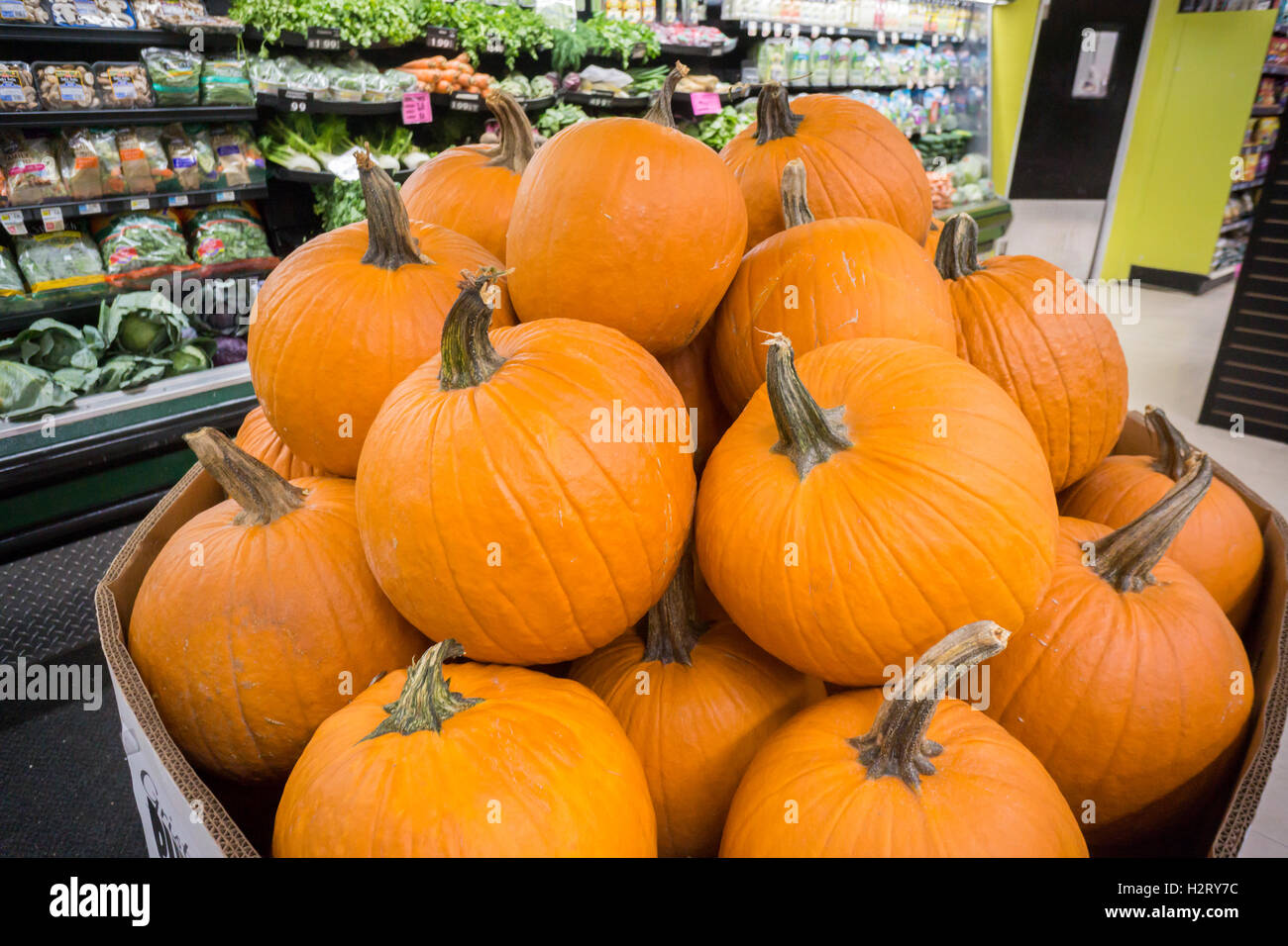 Pumpkins on sale at supermarket in New York on Saturday, Monday ...