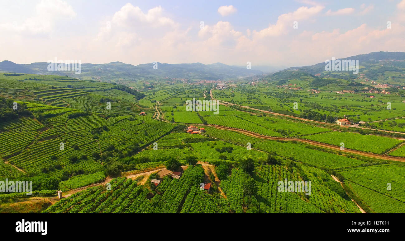 Aerial view of the vineyards on the Italian hills Stock Photo - Alamy