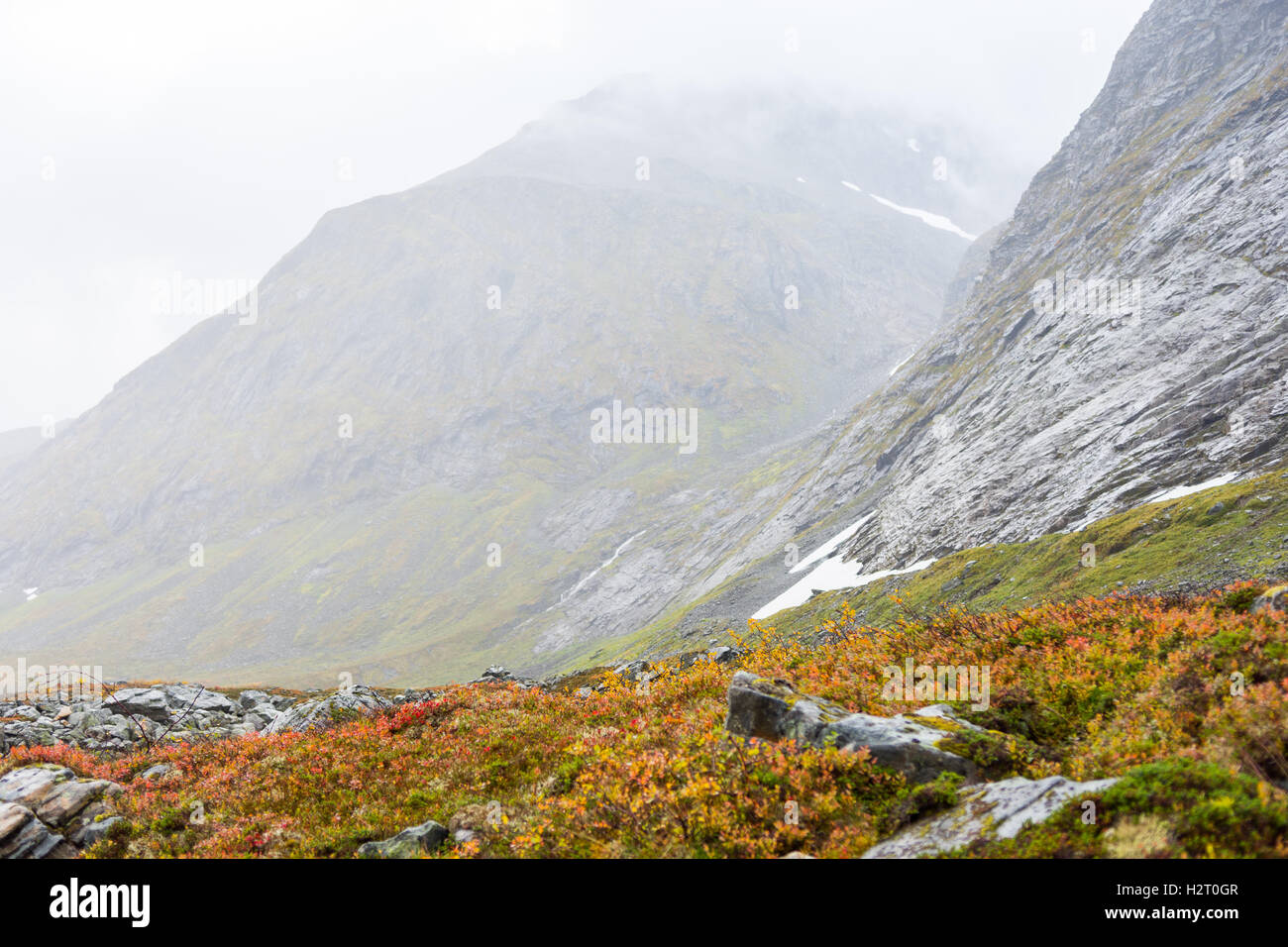 A autumn landscape in Norway Stock Photo - Alamy