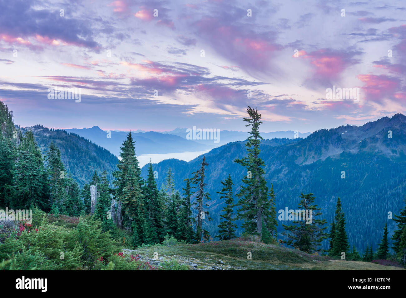 Baker Lake. Mt. Baker Wilderness -Snoqualmie National Forest, Washington State, USA Stock Photo ...