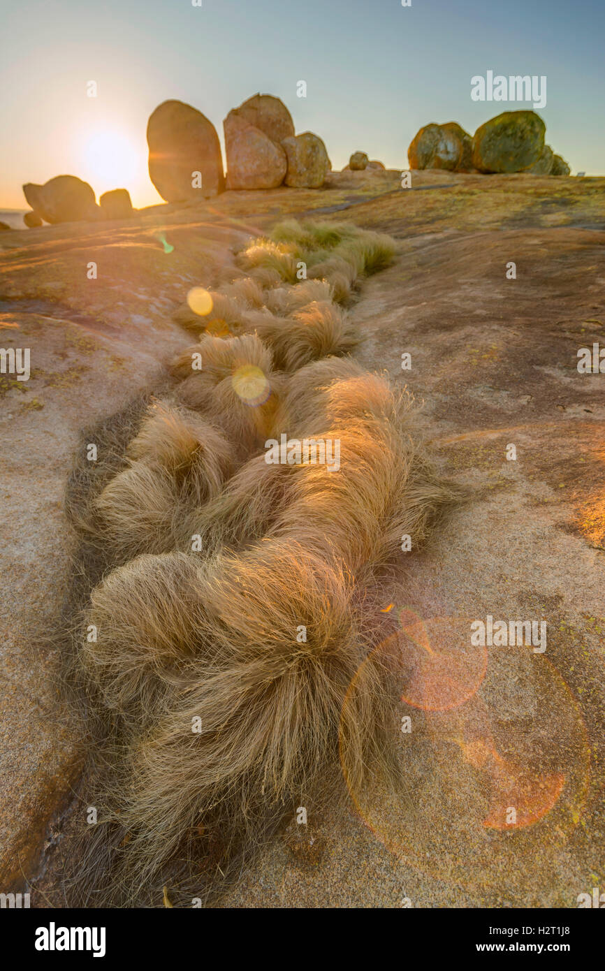 The unique balancing rock landscape of the Matobo National Park ...